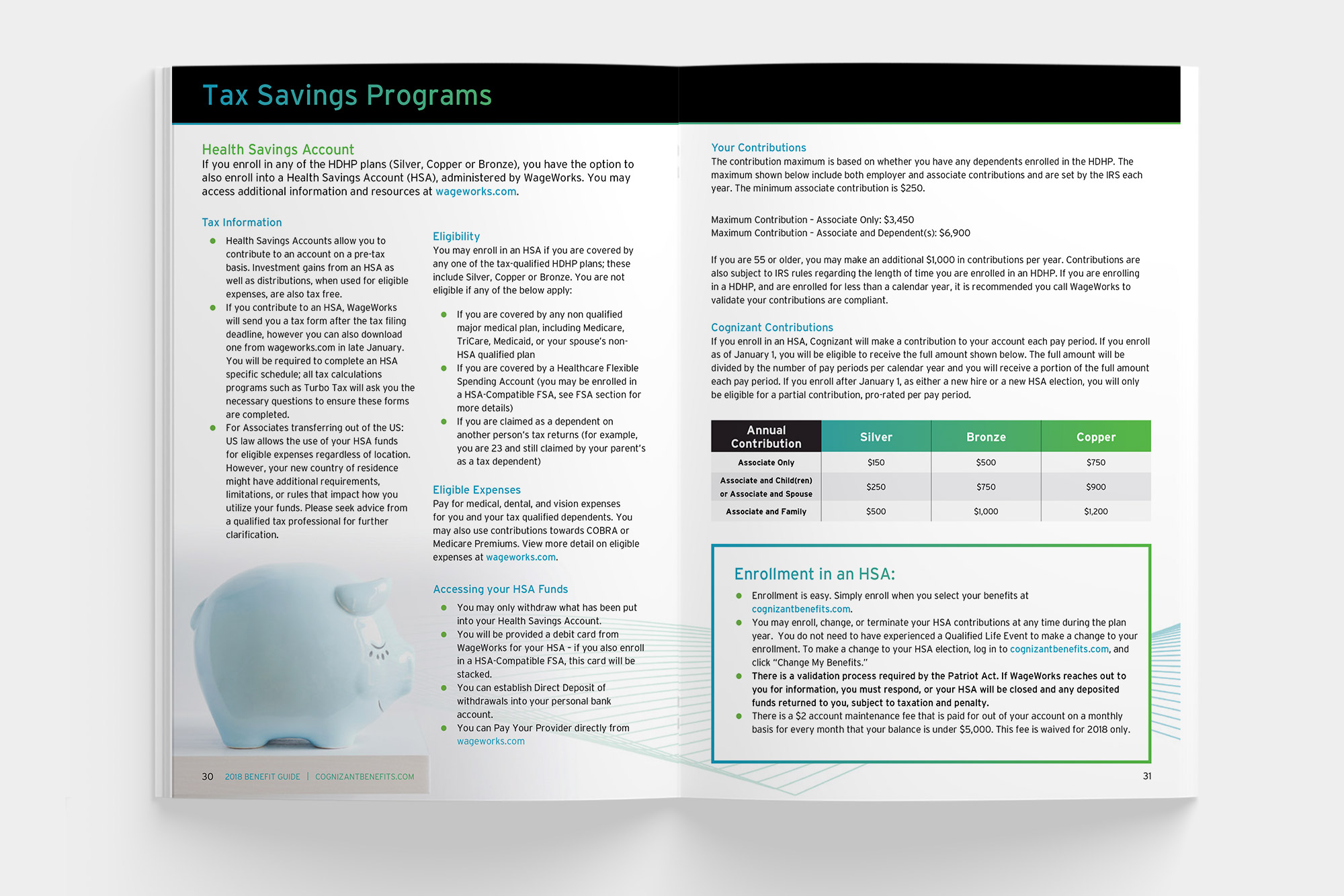 Cognizant Benefits - Creative Dummy llc